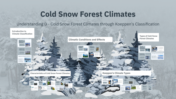 Cold Snow Forest Climates by Utkarsh Srivastava on Prezi