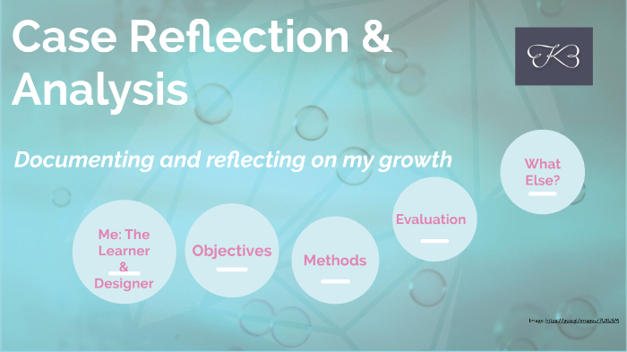 Case Reflection & Analysis by Krista Bailey on Prezi