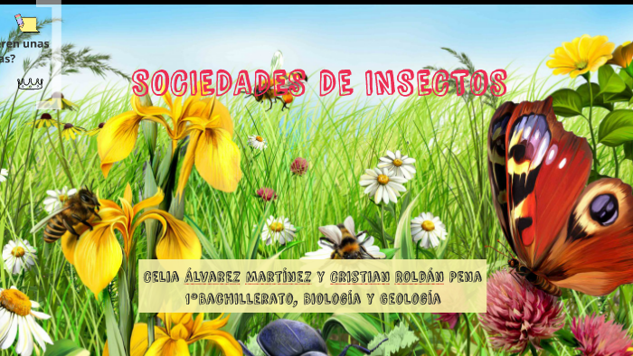 Sociedades de insectos by Celia AM on Prezi
