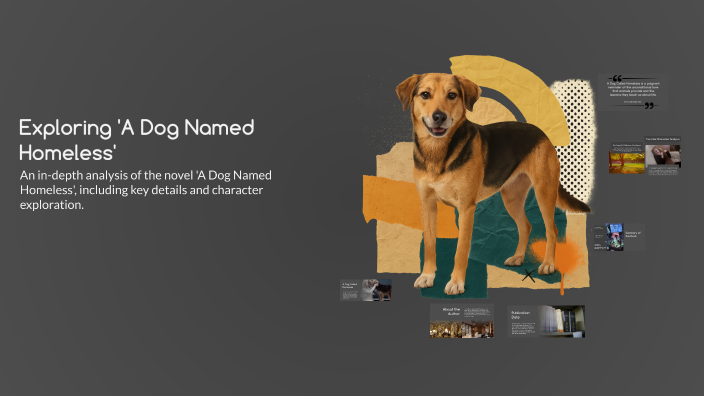 Exploring 'A Dog Named Homeless' by Mckenzie Littles on Prezi