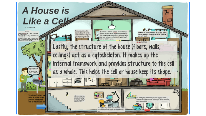 A House is Like a Cell by Julia Gintof on Prezi