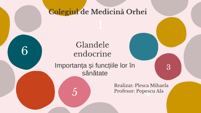 Glandele endocrine by Plesca Maria-Mihaela on Prezi