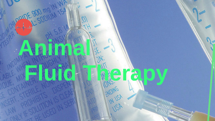 Animal Fluid Therapy by Louise Davey on Prezi
