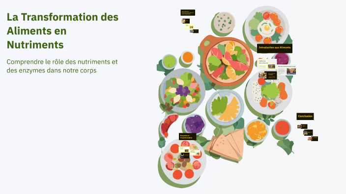 La Transformation des Aliments en Nutriments by CELIA BELLACHEN on Prezi