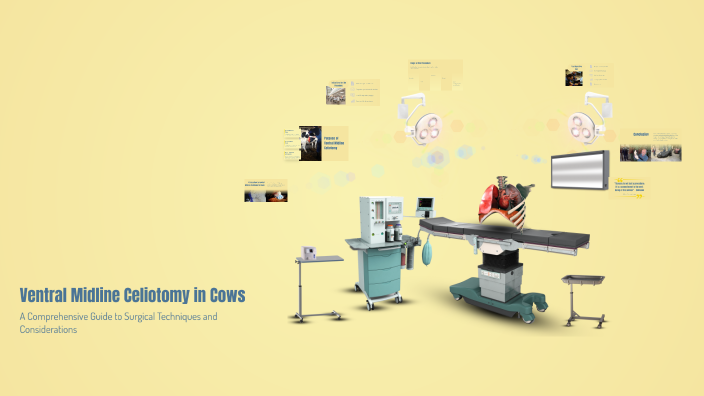 Ventral Midline Celiotomy in Cows by yohanes ayalew on Prezi
