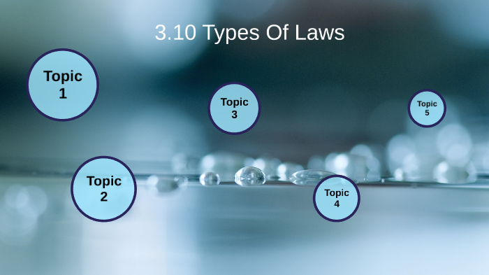 3.10 Types Of Law by Brianna Joseph on Prezi