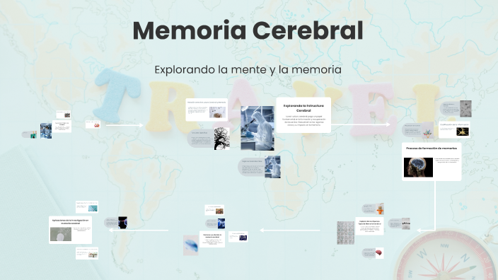 Memoria Cerebral By Carla Espinoza On Prezi