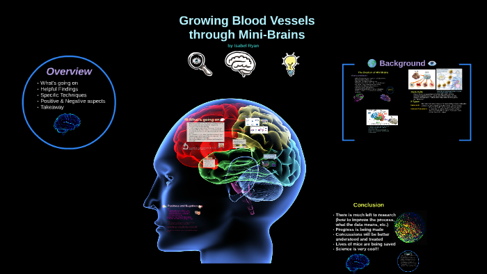 Overview by isabel ryan on Prezi
