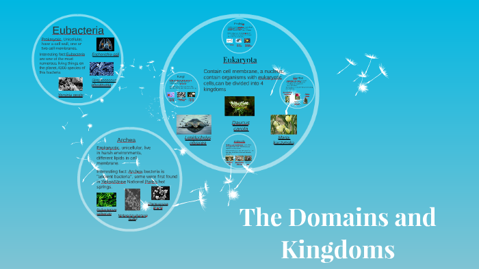 The domains and kingdoms by Dilpreet Parhar on Prezi
