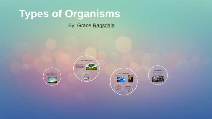 Types of Organisms by grace ragsdale on Prezi