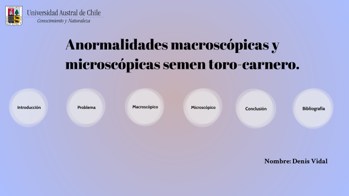 reproduccion by Denis Vidal on Prezi