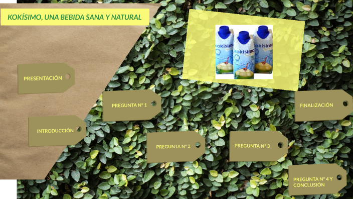 Kokísimo. Creado por la emprendedora Brenda Herrera by KAREN VILLARROEL ...