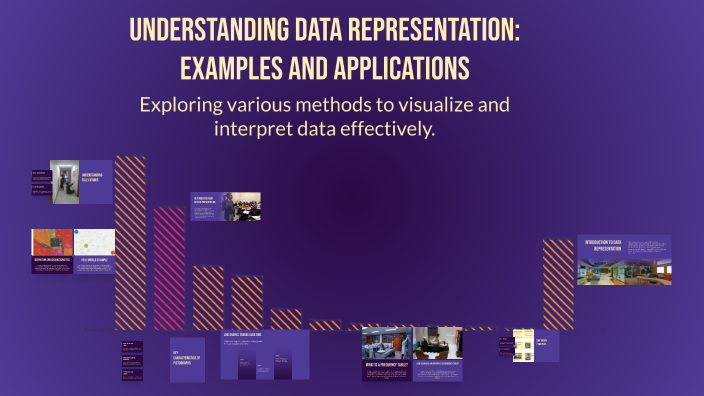 Understanding Data Representation: Examples and Applications by Rhoi ...