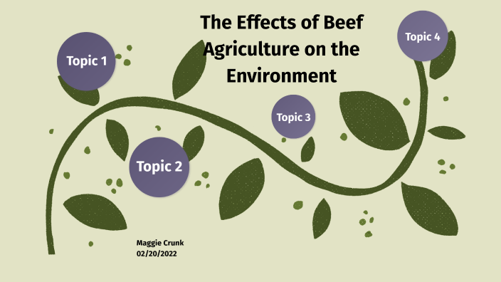 The Effects of Beef Farming on the Environment by M Crunk on Prezi