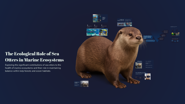 The Ecological Role of Sea Otters in Marine Ecosystems by Hamish Curtis ...