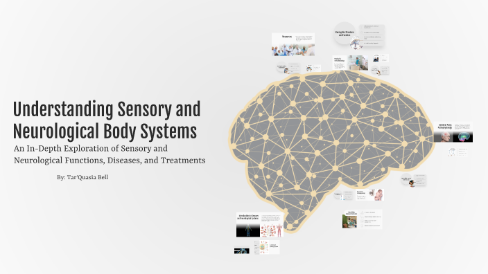 Understanding Sensory and Neurological Body Systems by TarQuasia bell ...