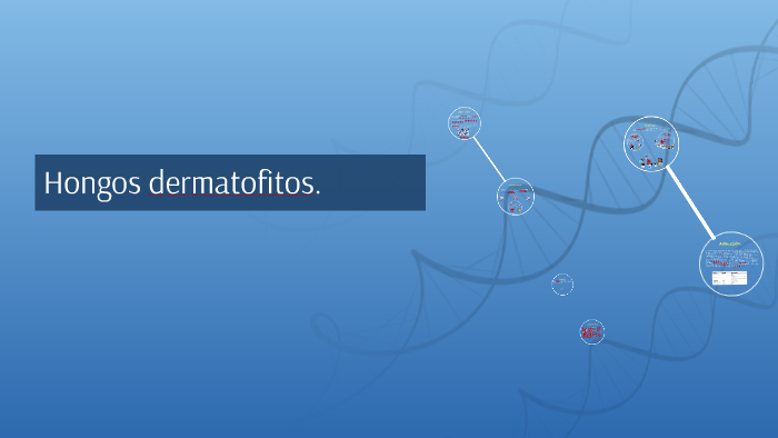 Hongos dermatofitos by Ethan Andres Ac on Prezi