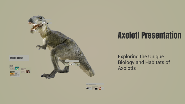 Axolotl Presentation by Victoriah Ligon on Prezi