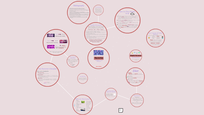harmless bacteria by leannn hillman on Prezi