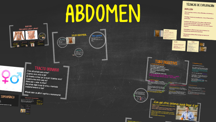 Exploración de Abdomen. by Lorena Tejeda Ortega on Prezi