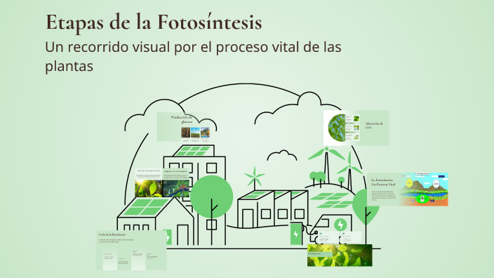 Etapas de la Fotosíntesis by henry bustos on Prezi