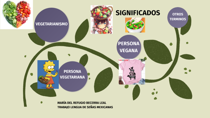 TERMINOS SIGNIFICADO by María Del Refugio