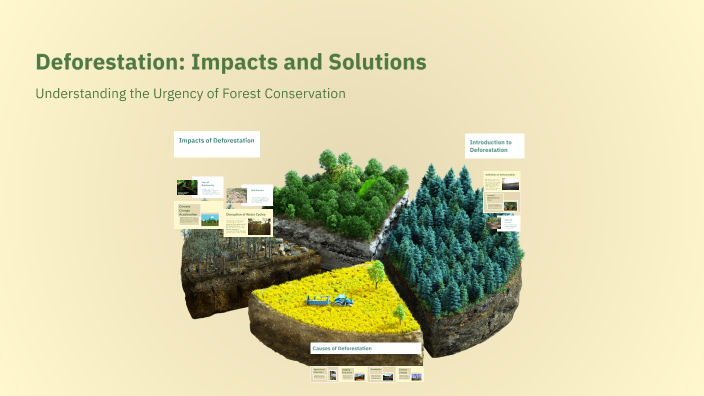 Deforestation: Impacts and Solutions by Carlos Alexandre on Prezi