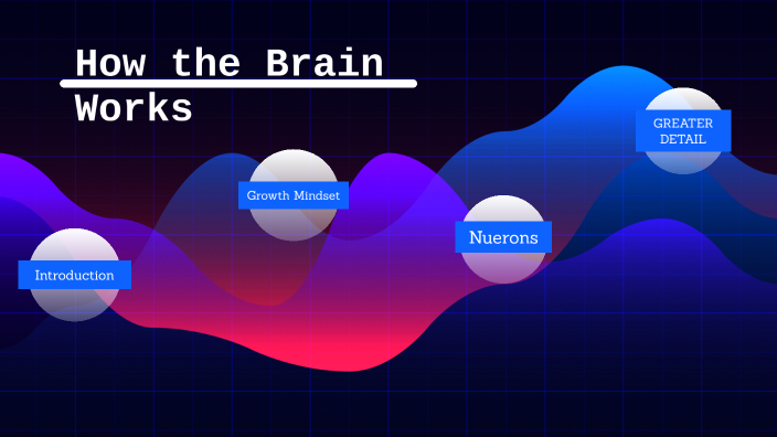 How the Brain Works by Cell PRODUCT on Prezi