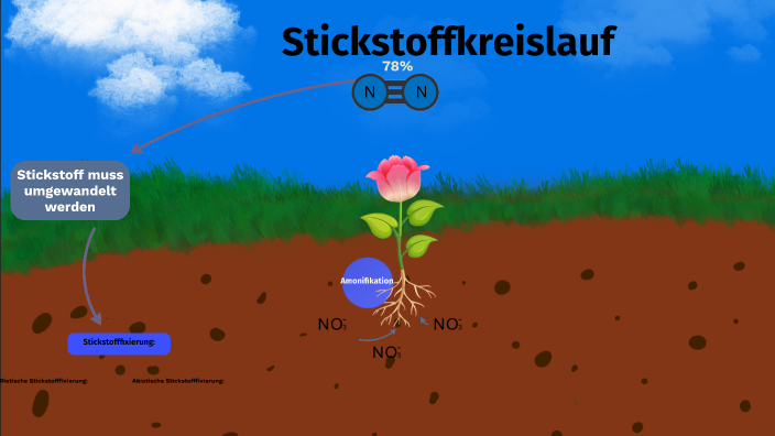 Stickstoff by Timon Laurent on Prezi