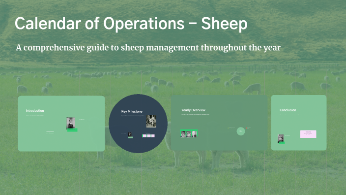 Calendar of Operations - Sheep by Amanda Penfold on Prezi