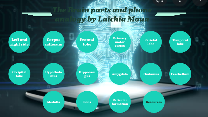 Brain parts analogy project by Laichia Moua on Prezi