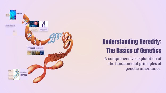 Understanding Heredity: The Basics of Genetics by Lin Batiancila on Prezi