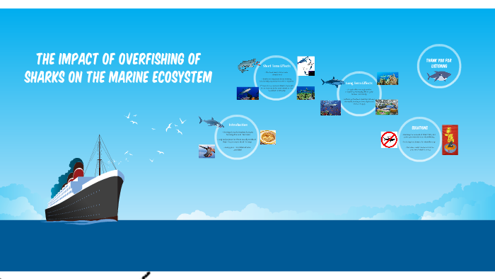 The impact of overfishing of sharks on the marine ecosystem by Priya ...