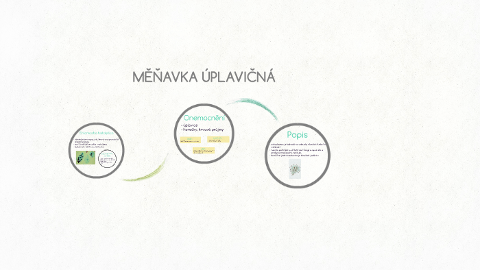 MĚŇAVKA ÚPLAVIČNÁ by Anežka Bilíková on Prezi