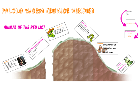 PAOLO WORM by Emma Roig on Prezi