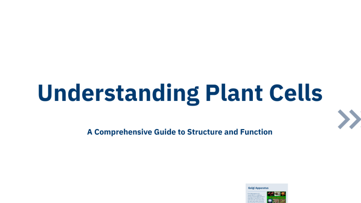 Understanding Plant Cells by Ragab Gomaa on Prezi