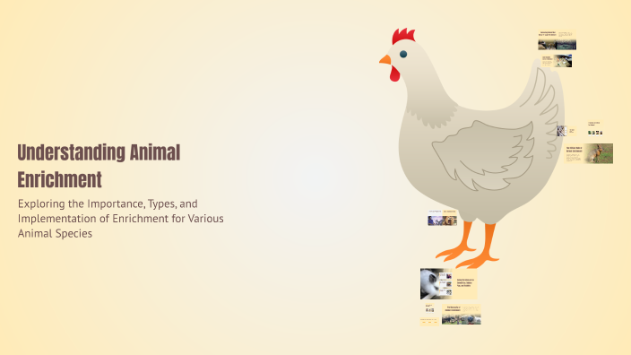 Understanding Animal Enrichment by Allison Schaub on Prezi