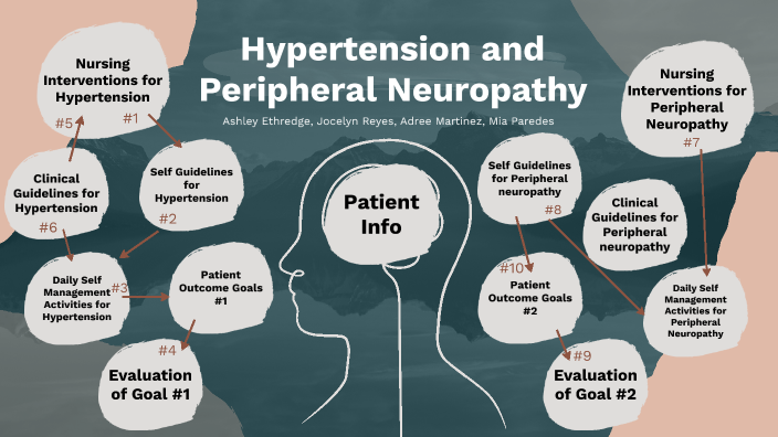 Group C concept map by mia paredes on Prezi