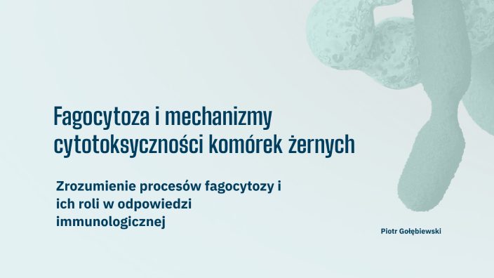 Fagocytoza i mechanizmy cytotoksyczności komórek żernych by on Prezi