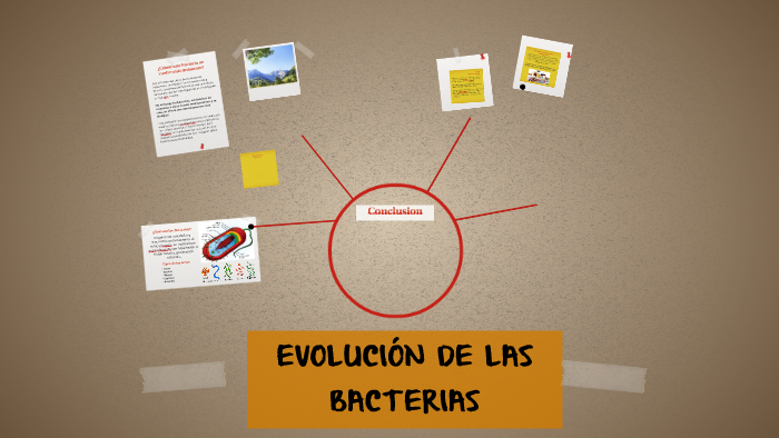 EVOLUCIÓN DE LAS BACTERIAS by Sarai G. Reyna on Prezi