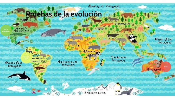 distribución geográfica de las especies by Ainhoa Nicole Verdi Medina ...