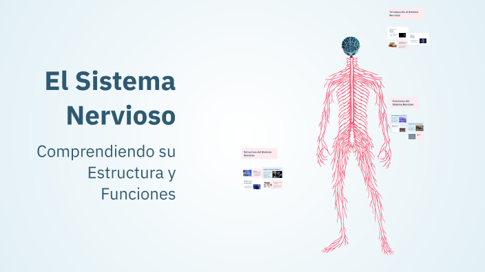 El Sistema Nervioso by Percy Bonilla on Prezi