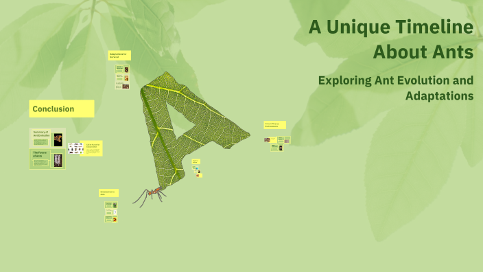 A Unique Timeline About Ants by Geoo _ on Prezi