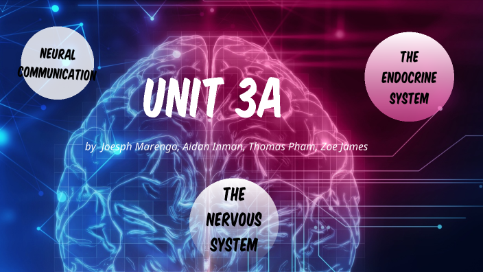 Unit 3A psychology by Zoe James on Prezi