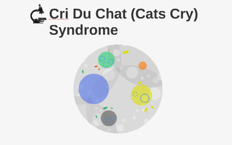 Cri Du Chat (Cats Cry) Syndrome by Nathanial Pollnow