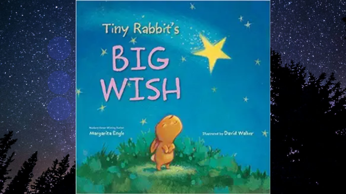 Tiny Rabbit's BIG Wish by Karla Scott on Prezi