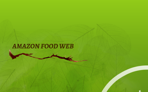 AMAZON FOOD WEB by Justin Ride on Prezi