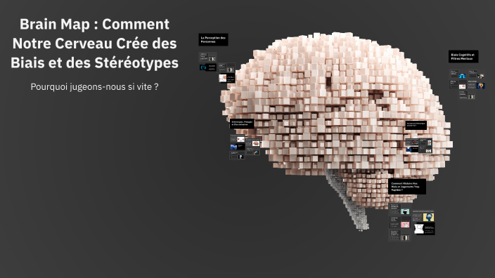 Brain Map : Comment Notre Cerveau Crée des Biais et des Stéréotypes by ...