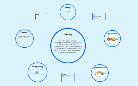 Weekdieren by esmee peters on Prezi
