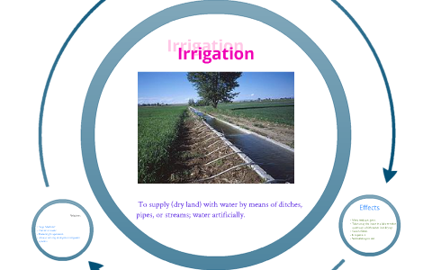 Sustainability and the Environment by Karen Penman on Prezi